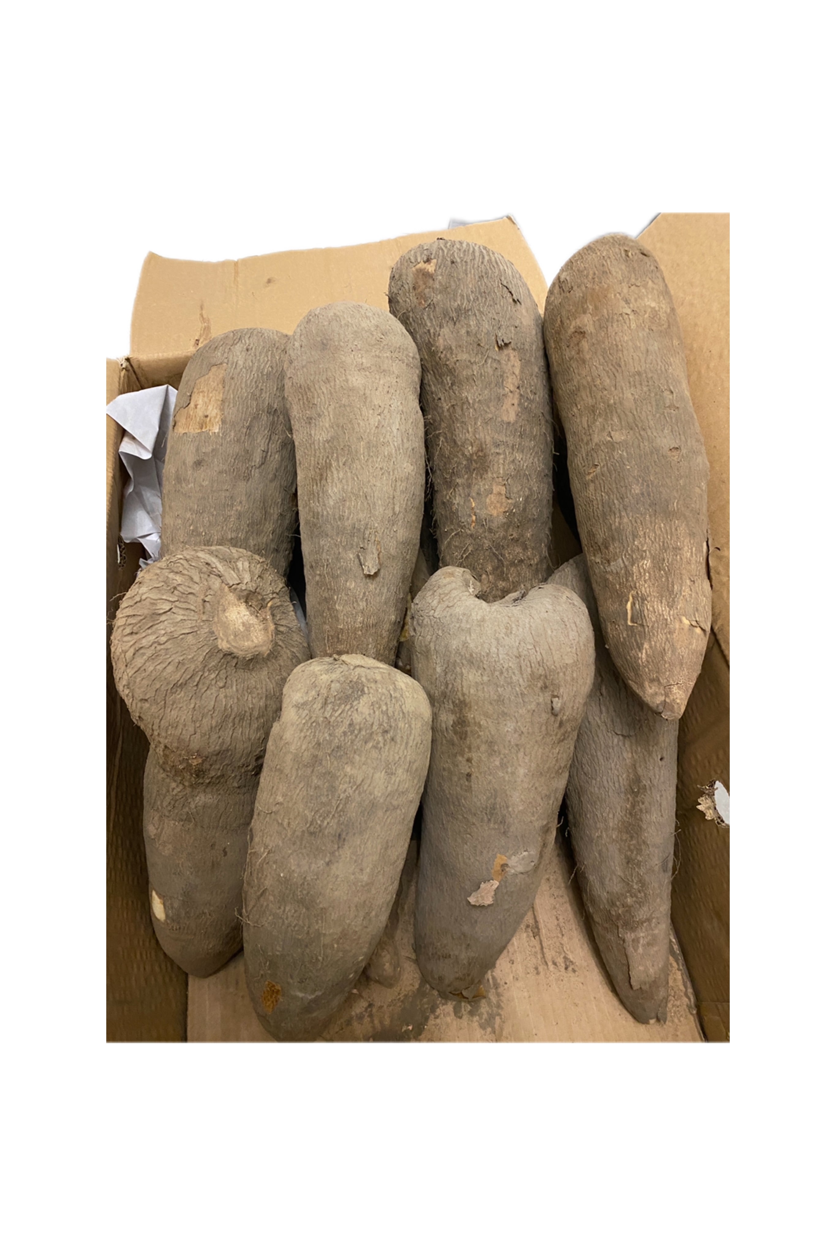 Fresh Yam Tuber– Favy African Market